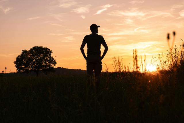 Plot-Driven vs. Character-Driven Stories: Finding the Balance – Myers ...